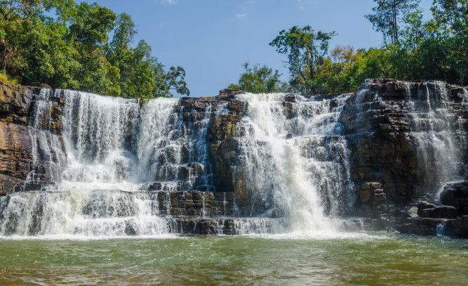 Check Guinea Visa Status | Login to JsdBiz Visa Manager